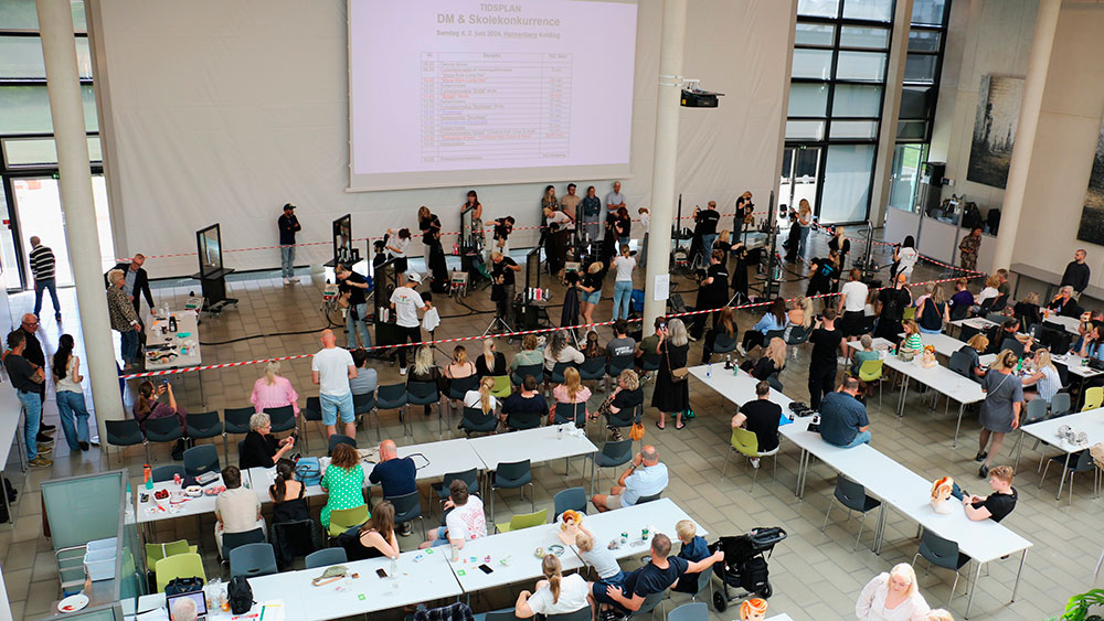 Vinderne af DM og Årets Frisør 2024